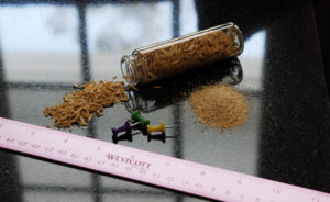 What we offer - RheTech - Filled & Reinforced Polypropylenes