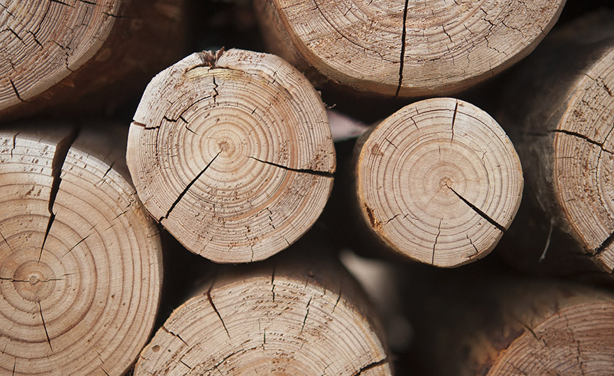 Finely Ground Cellulose - RheTech - Polypropylenes and Resins